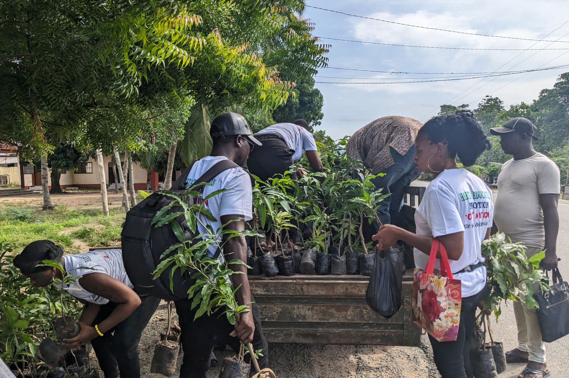 Plant 50,000 Native Trees in Togo's Rural schools - GlobalGiving