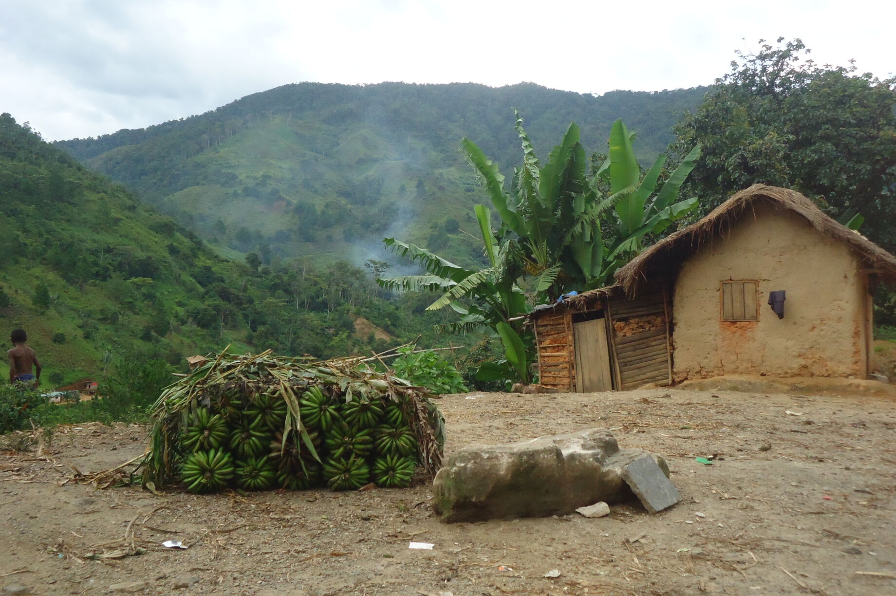 Donate to Halt Learning Poverty - GlobalGiving