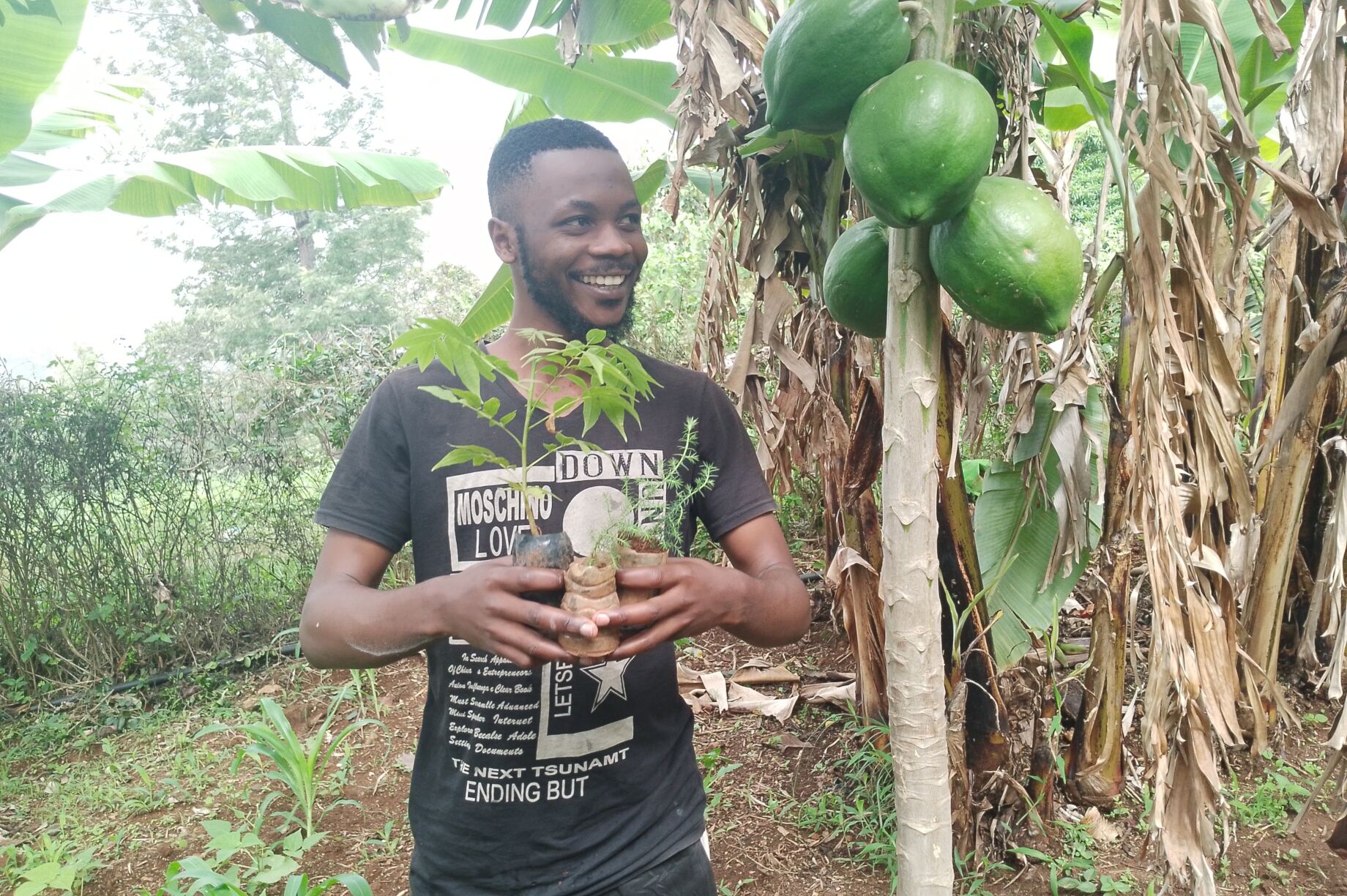 PLANT 20,000 TO RESTORE SHUME RESERVE FOREST. - GlobalGiving