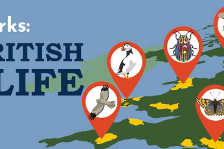 Save Wildlife in British National Parks - GlobalGiving