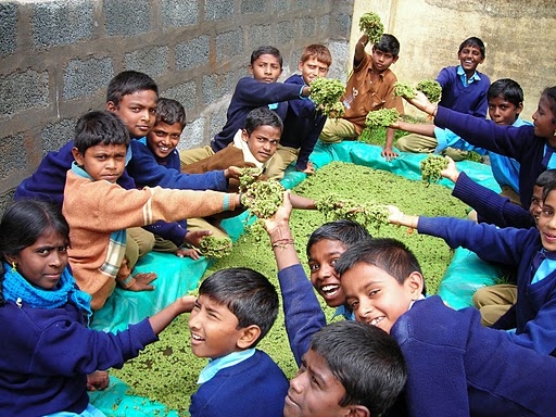 Photos from RID POVERTY & HUNGER IN 50 INDIAN TRIBAL VILLAGES ...