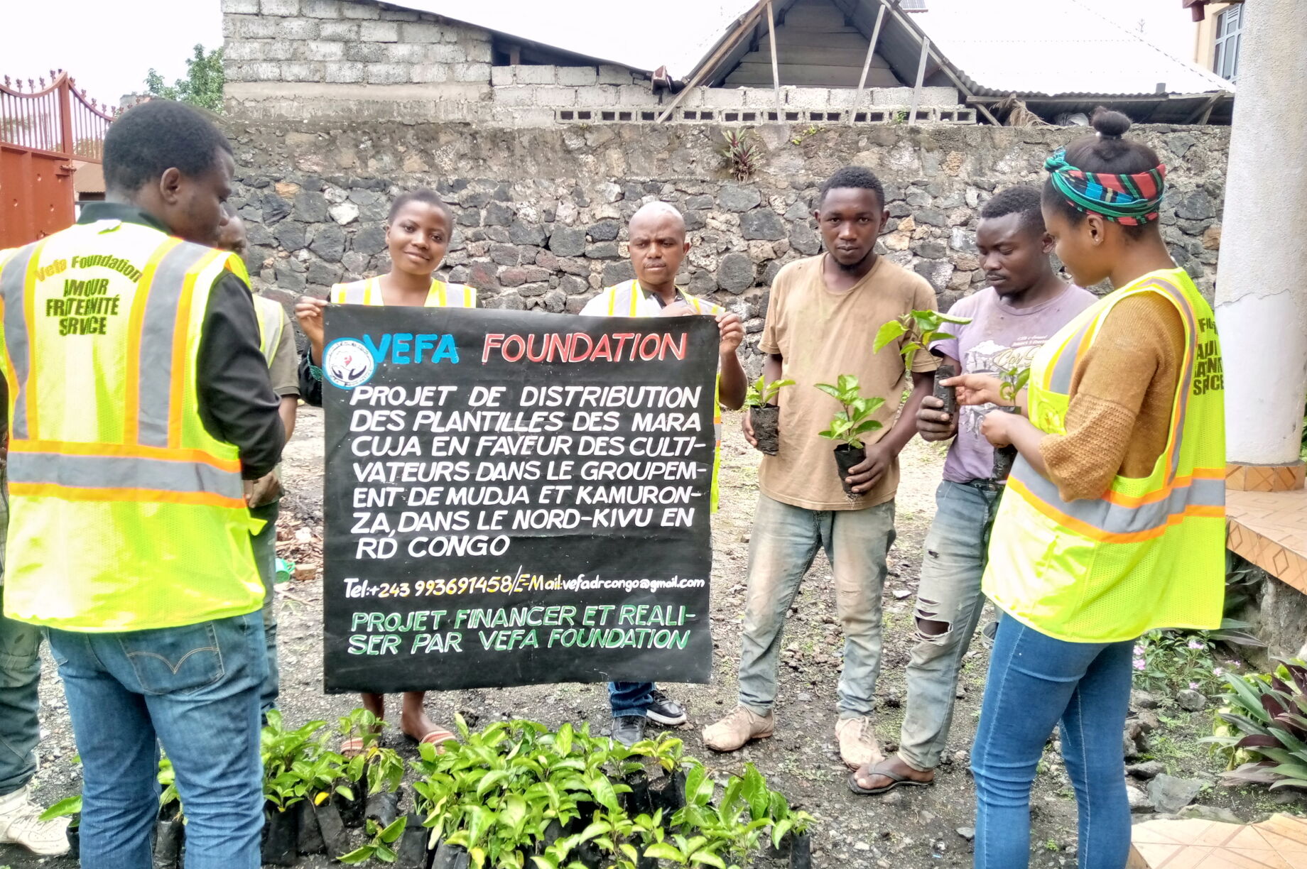 Plant Trees in Goma to Fight Climate Change - GlobalGiving