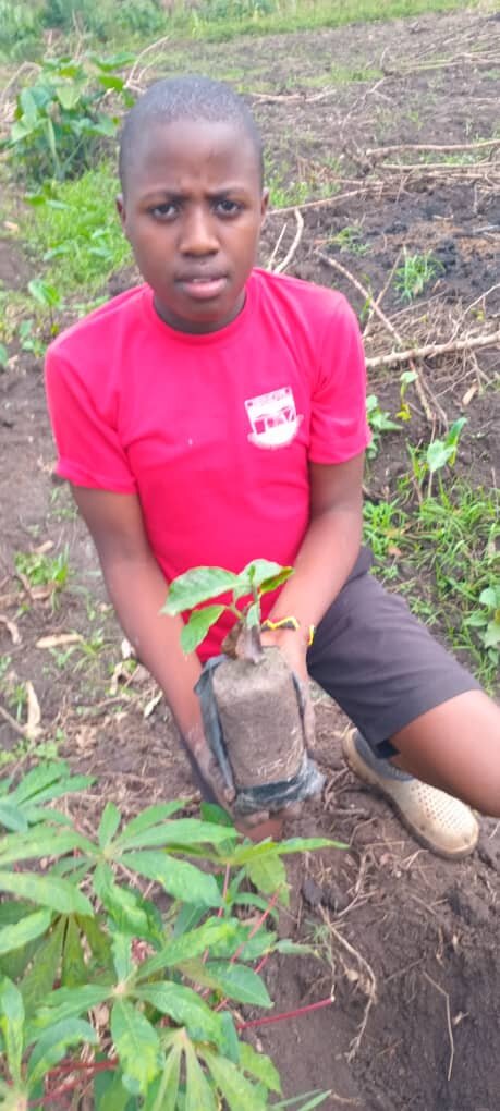 Help Children Grow Crops For Sustainability - GlobalGiving