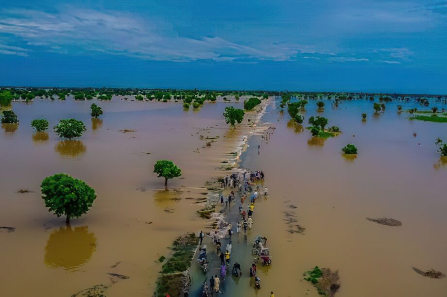 Rural Climate Resilience Awareness Campaign - GlobalGiving