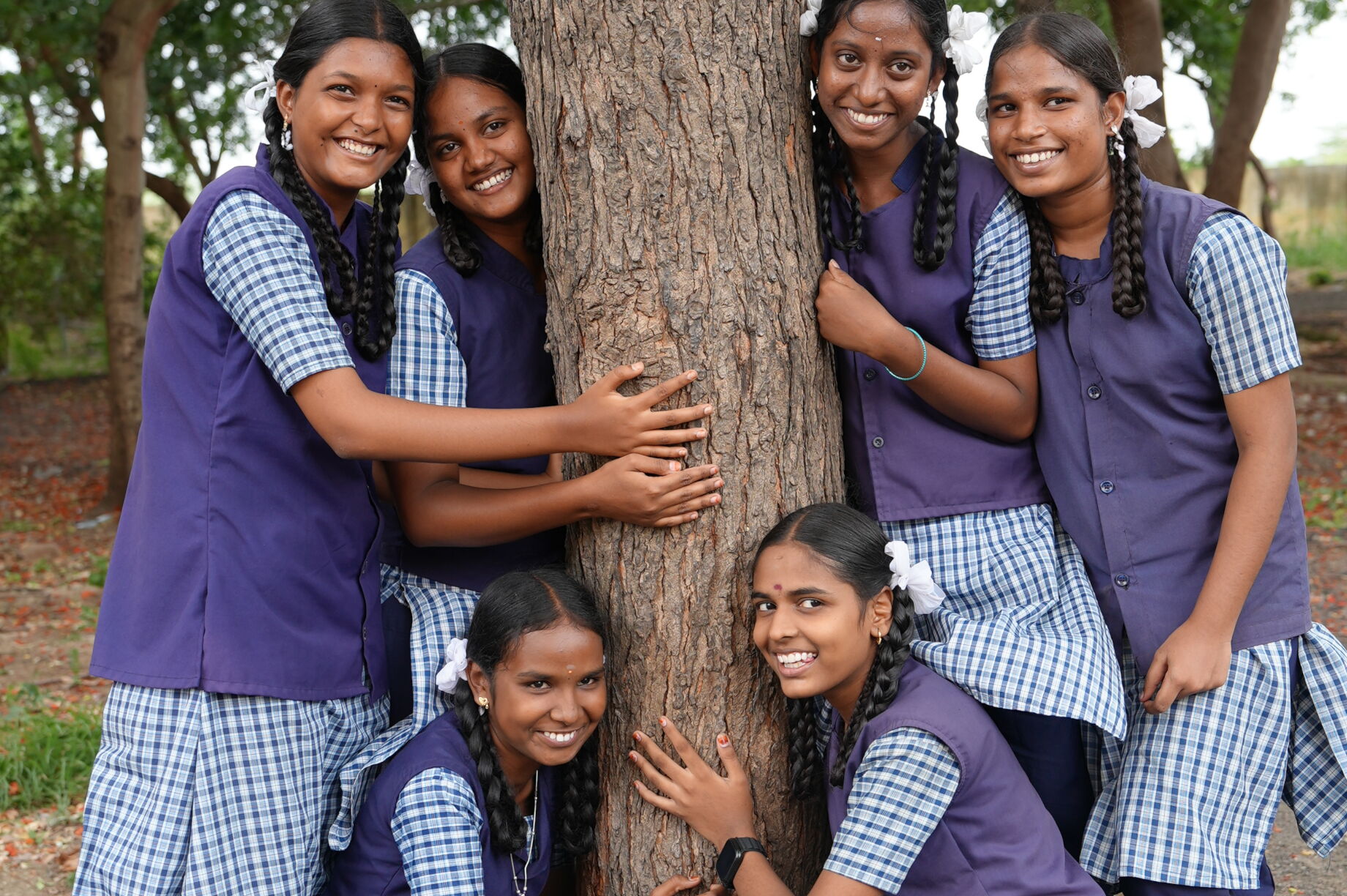 Donate to " Dollar, 1 Sapling, 1 Future." - Green Birthday - GlobalGiving