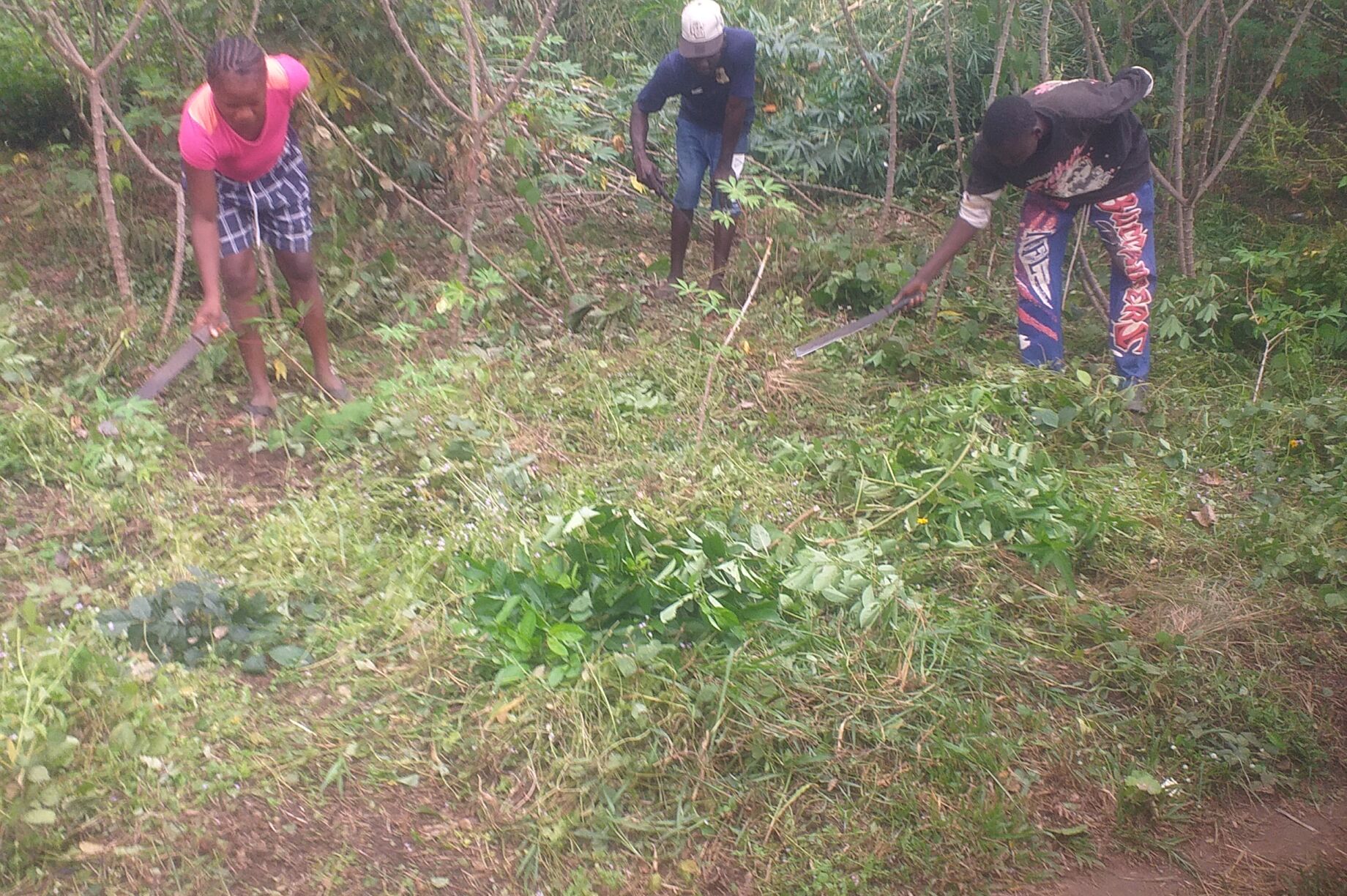 Donate to Eliminate hunger through youth farming - GlobalGiving