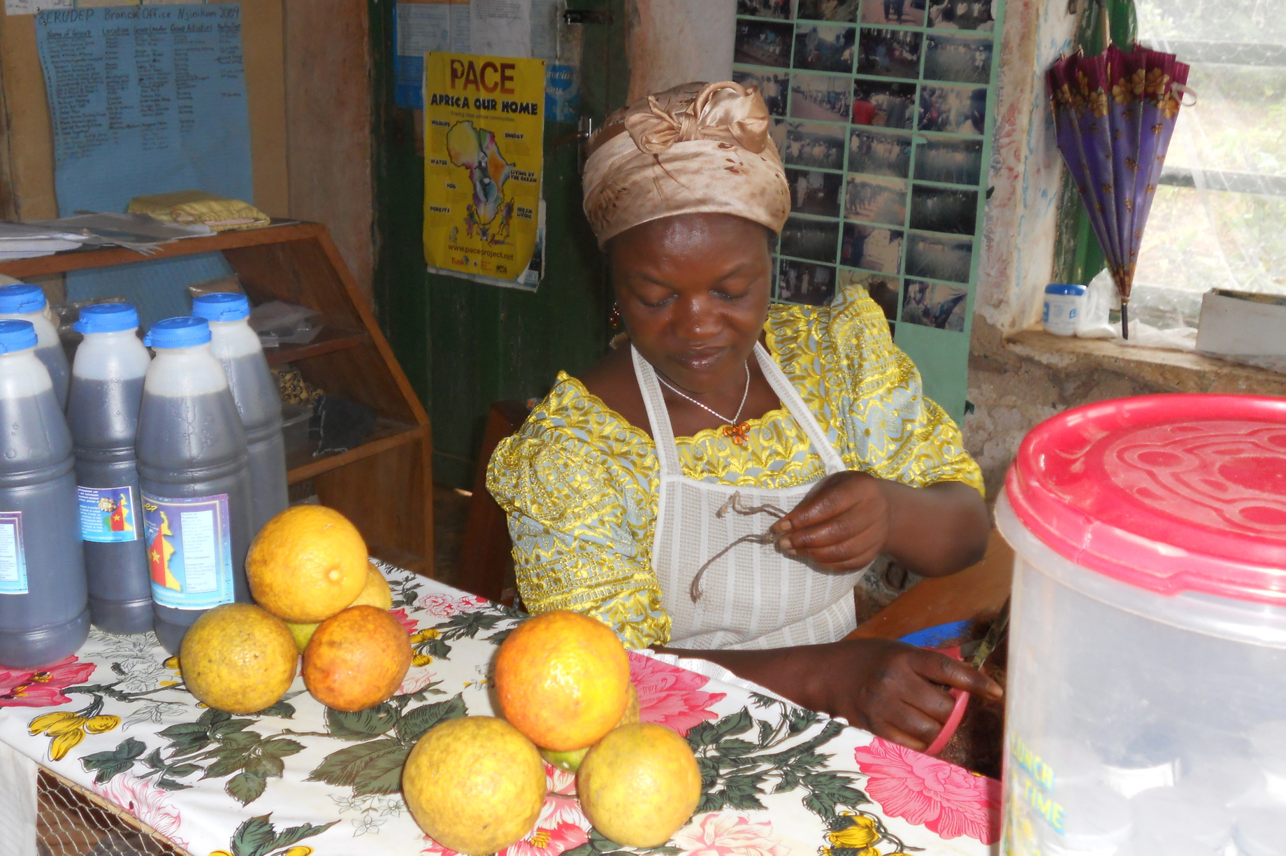 Fruit Tree Cultivation in Cameroon- UT - GlobalGiving