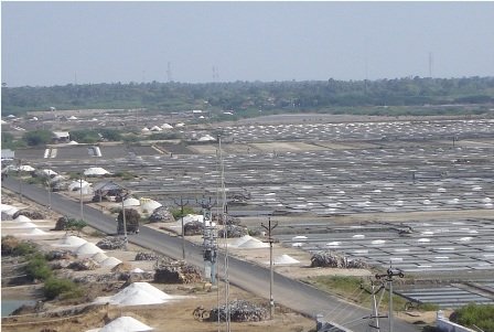 Assist saltworker mainstream in Tamilnadu India - GlobalGiving