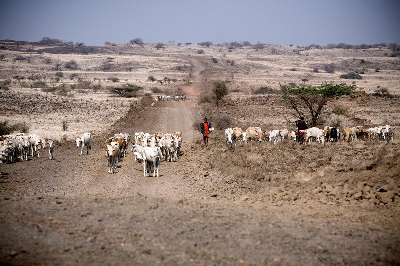 Horn of Africa Drought and Famine Relief Fund - GlobalGiving