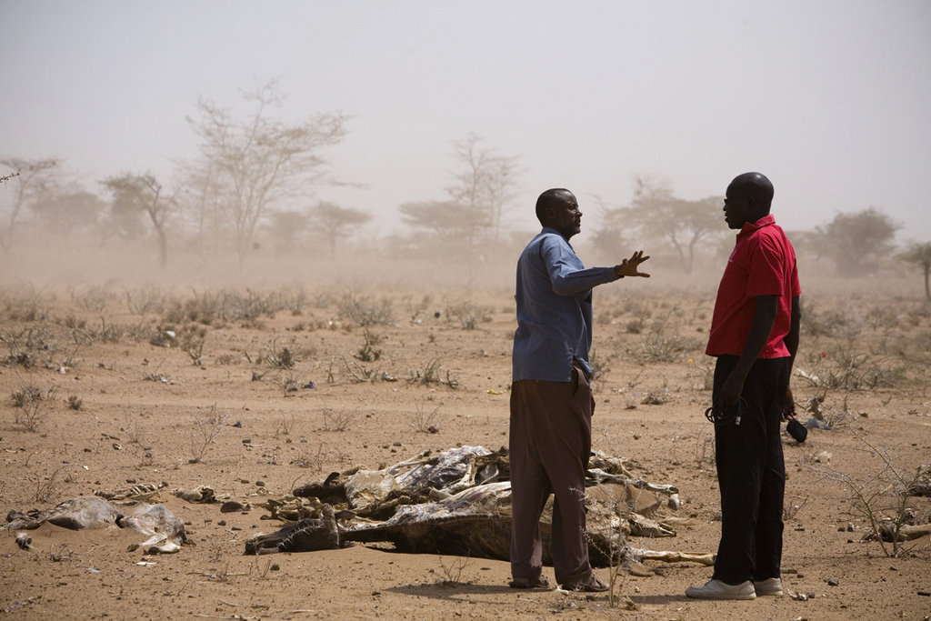East Africa Drought Crisis - GlobalGiving East Africa Drought Crisis - GlobalGiving