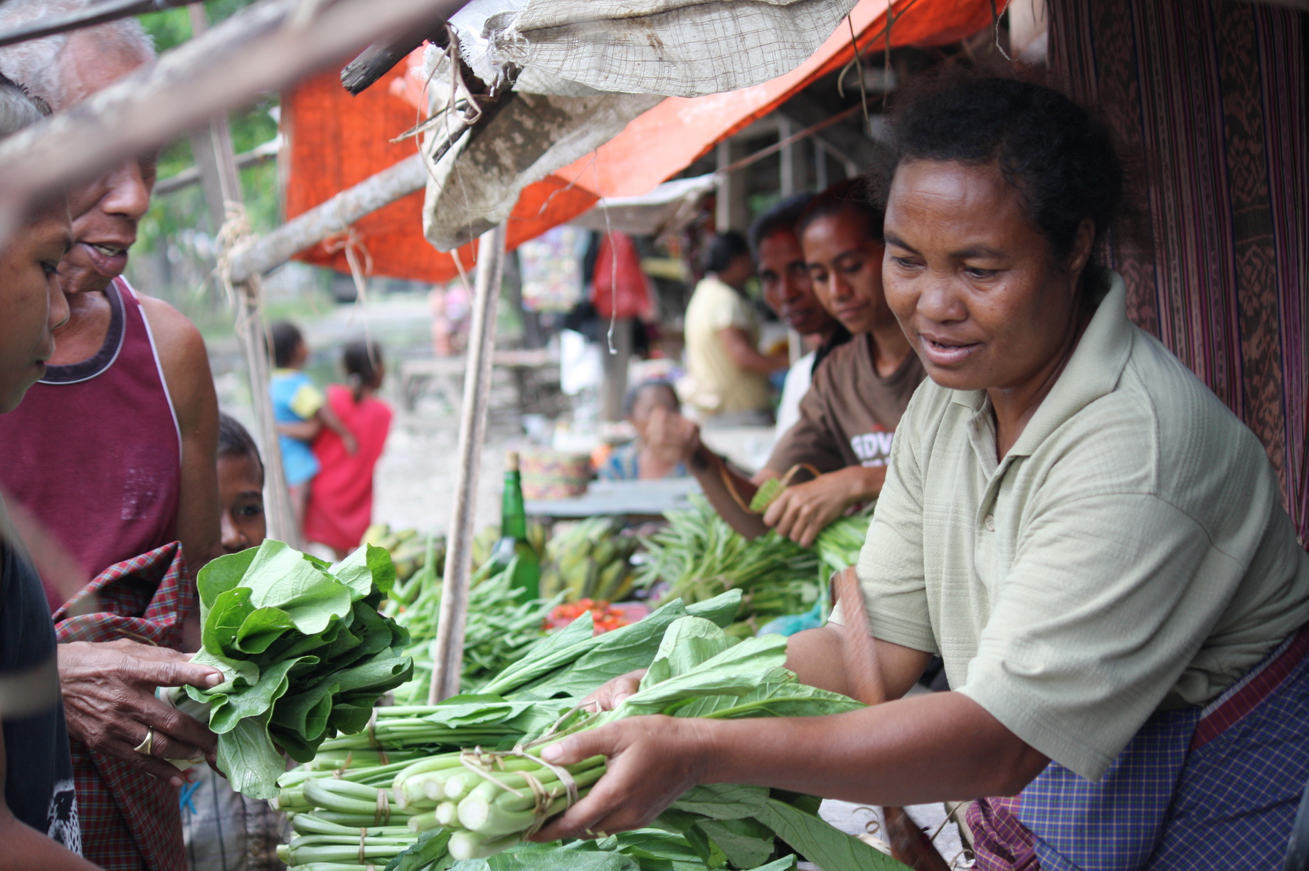1065 MicroLoans for Rural Poor, Sumba (Indonesia) - GlobalGiving