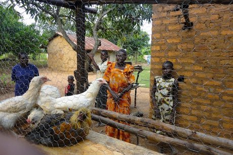 Build a Poultry Project for 500 Kenyan Women - GlobalGiving
