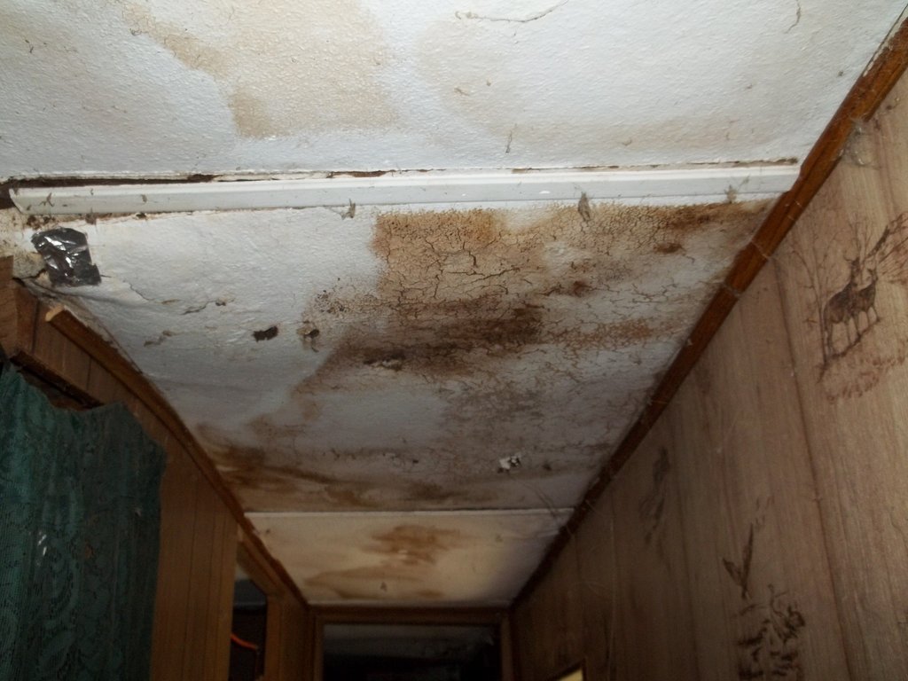 Repair 50 homes for the poor in NW Arkansas - GlobalGiving