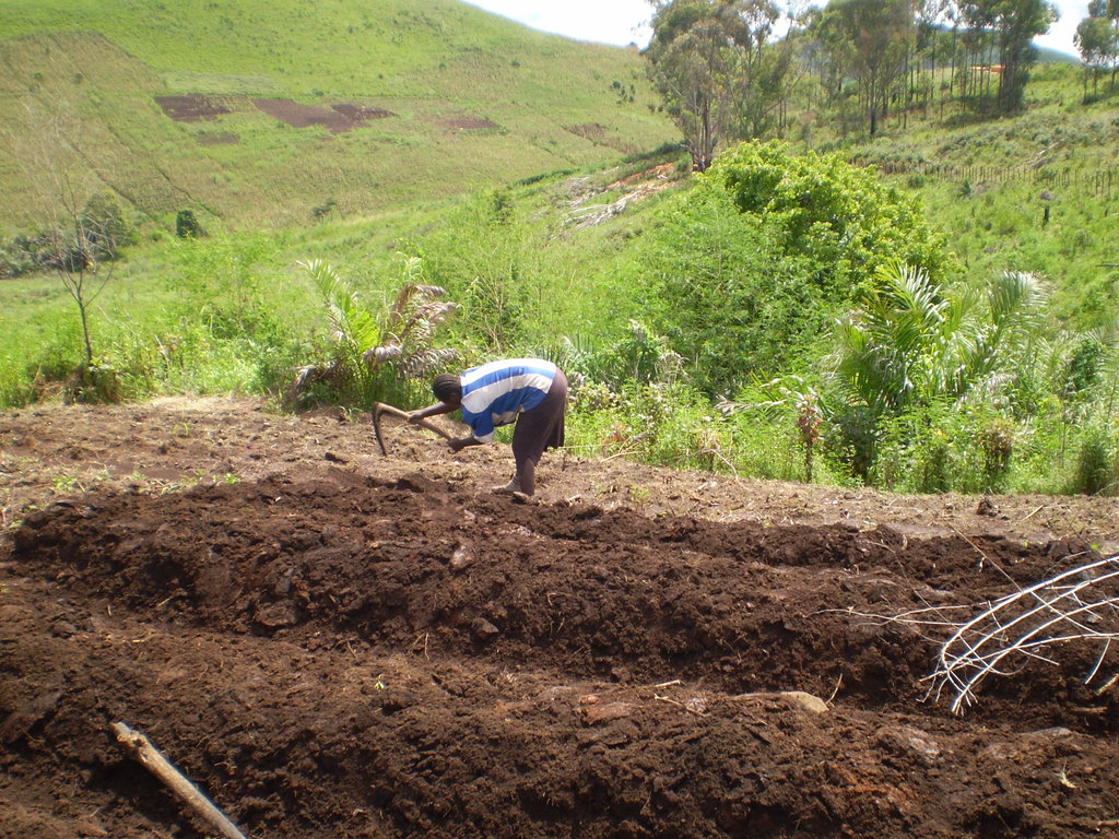 Improve incomes of 300 rural women in Cameroon - GlobalGiving