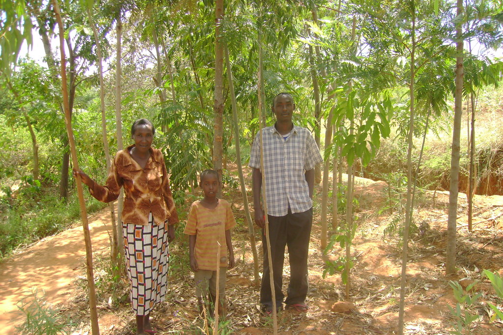 Reports on Forestry Training & Finance for 800 Farms in Kenya ...