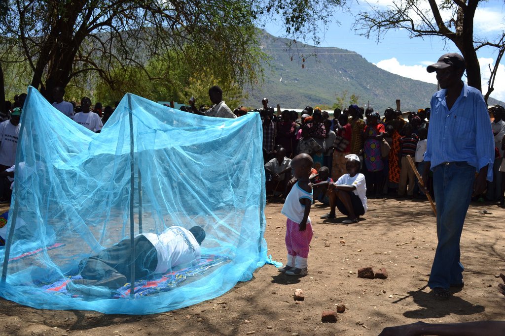 Reducing Malaria Deaths among Kenyan Children - GlobalGiving
