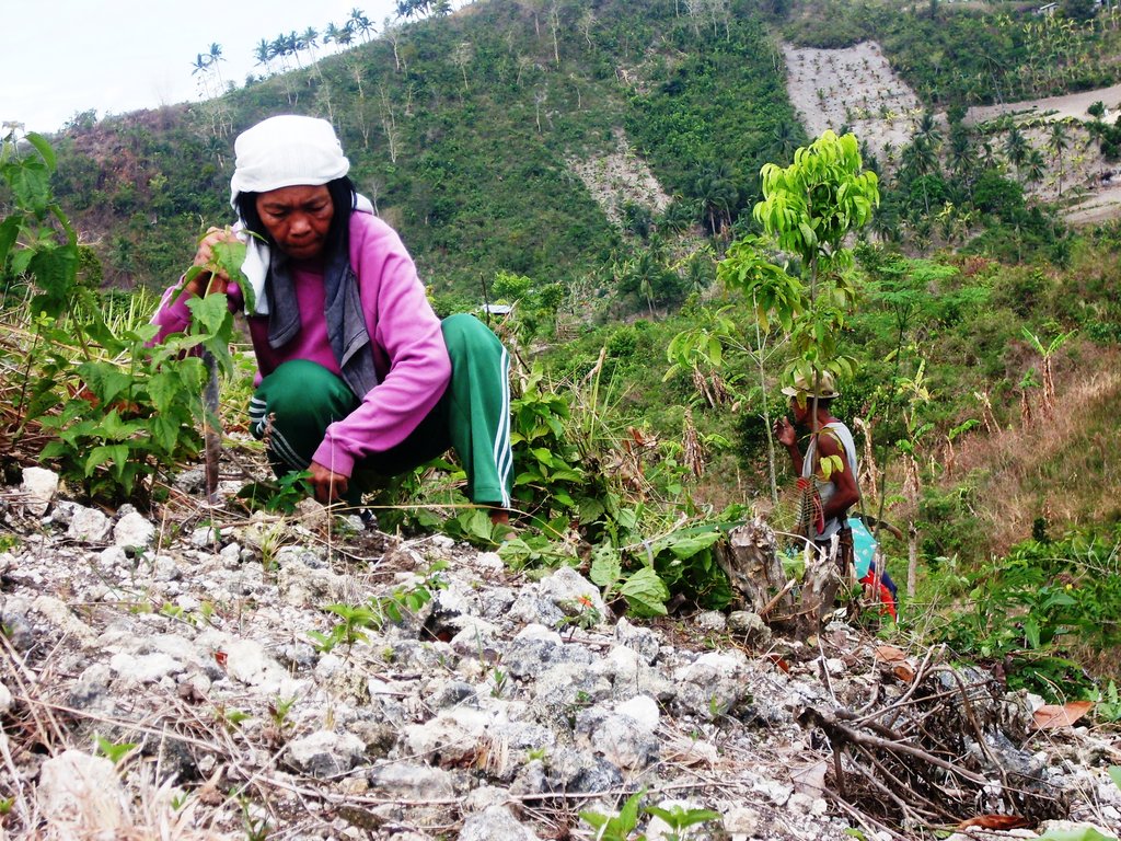 Reports on Ensure Food for 500 Poor Filipino Villages - GlobalGiving