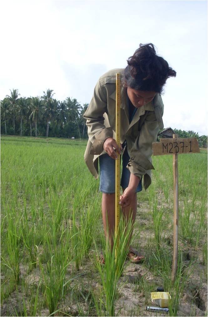 Ensure Food for 500 Poor Filipino Villages - GlobalGiving
