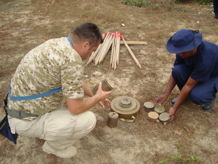 Train Dogs to "Sniff Out" Landmines & Save Lives - GlobalGiving