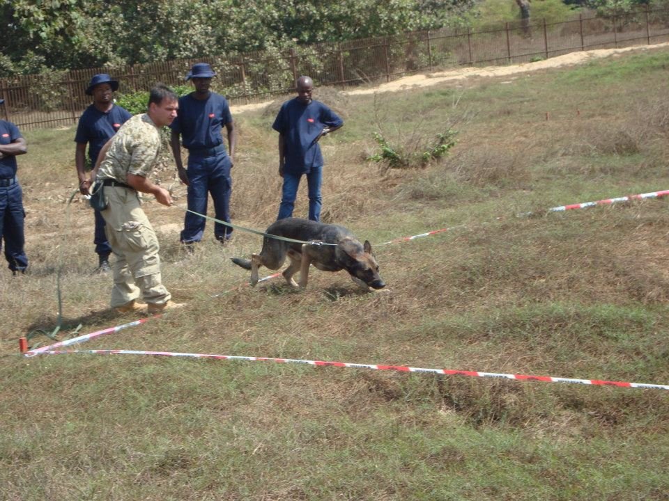 Train Dogs to "Sniff Out" Landmines & Save Lives - GlobalGiving