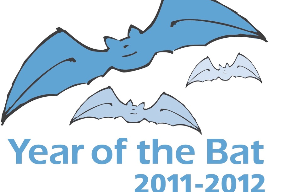 Conserve bats in International year of bats, India - GlobalGiving