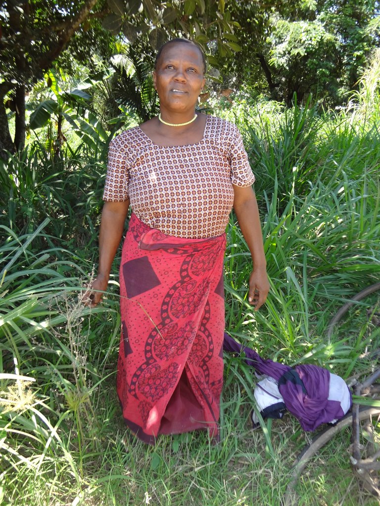 Beekeeping to Conserve Tanzania's Rainforest - GlobalGiving