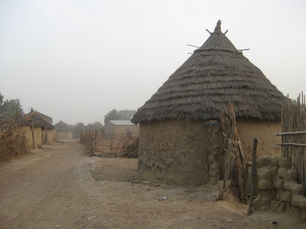 Solar energy for 2,500 villagers in Salamale, Mali - GlobalGiving