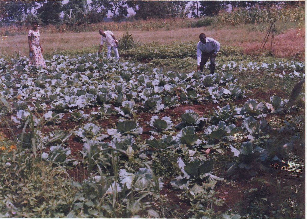 Supply 5000 children with clean water in Cameroon - GlobalGiving