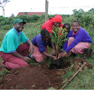 Plant 10,000 trees in kikuyu kenya, 3000 families - GlobalGiving