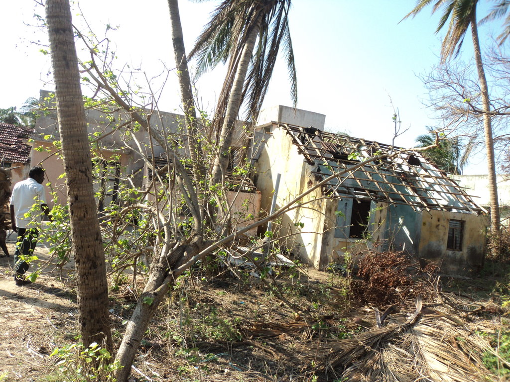 REHABITILATION OF THANE CYCLONE VICTIMS IN S.INDIA - GlobalGiving