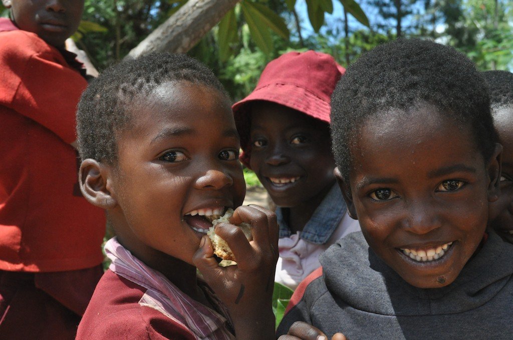 Treat 60,000 children in rural Zimbabwe - GlobalGiving