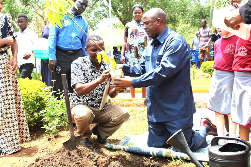 Birthday Tree Planting - GlobalGiving